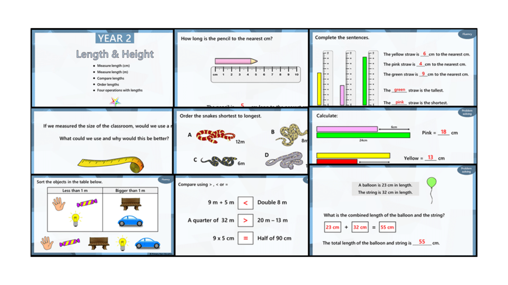 Length and Height - Week 11 | Presentation – Primary Stars Education