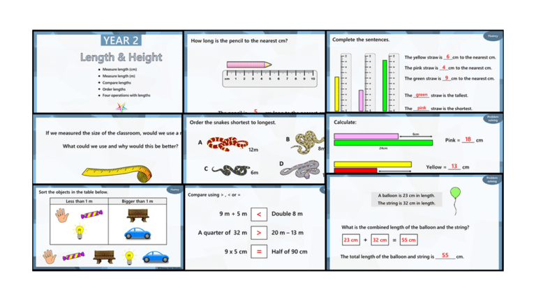 Length and Height - Week 11 | Presentation – Primary Stars Education