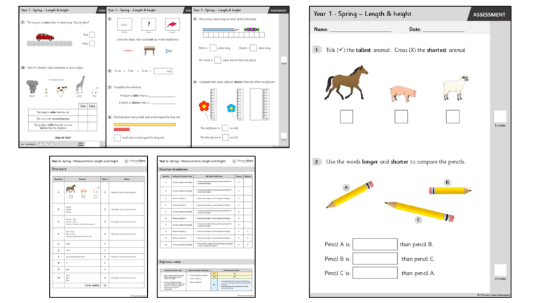 Number frames | Display – Primary Stars Education